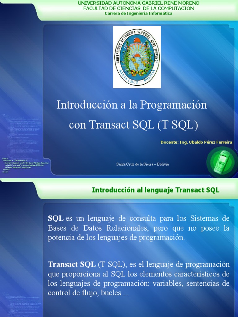 Programacion Con TRANSACT SQL | PDF | Byte | SQL