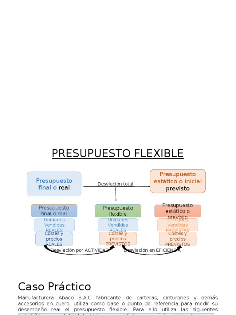 Caso Practico Presupuesto Flexible | PDF | Presupuesto | Economias