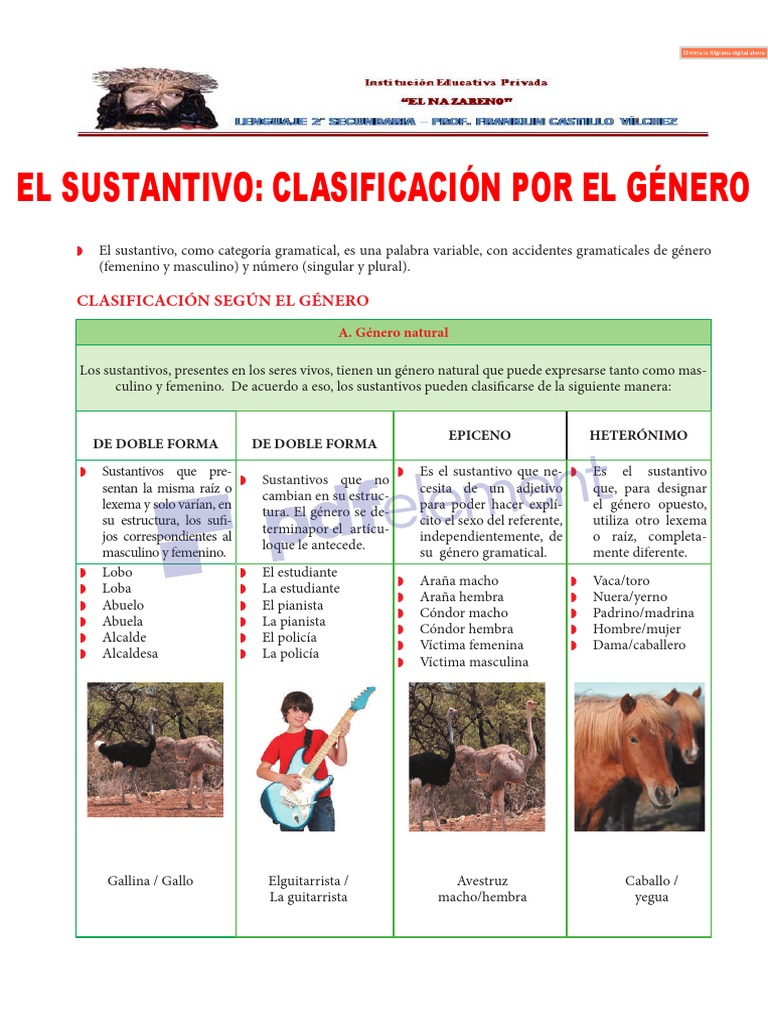 9. Clasificación-del-Sustantivo-según-su-Género-Para-Segundo-Grado-de ...
