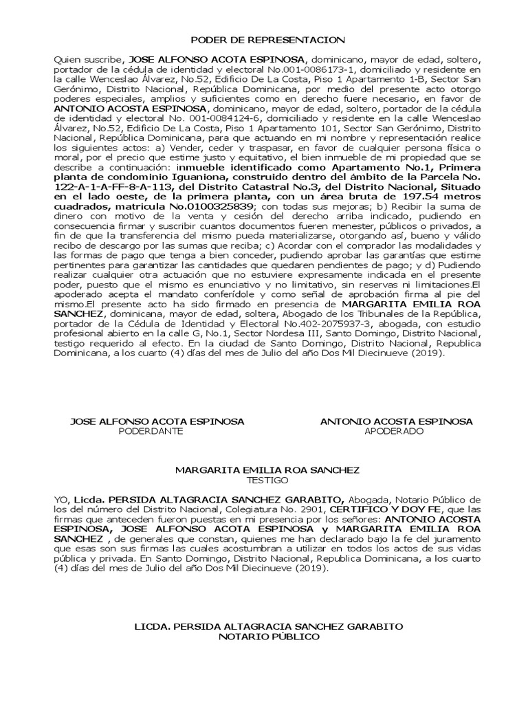 Poder de Representacion PDF | PDF | República Dominicana | Gobierno