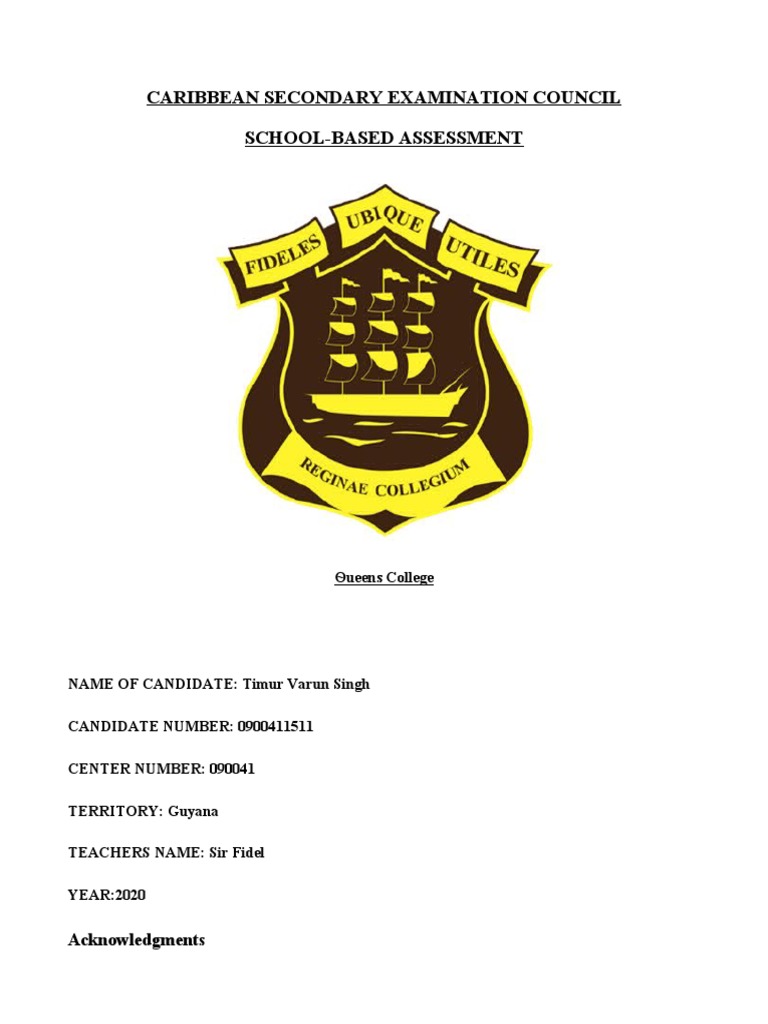 Determining the Optimal Trajectory of a Water Fountain Projectile ...