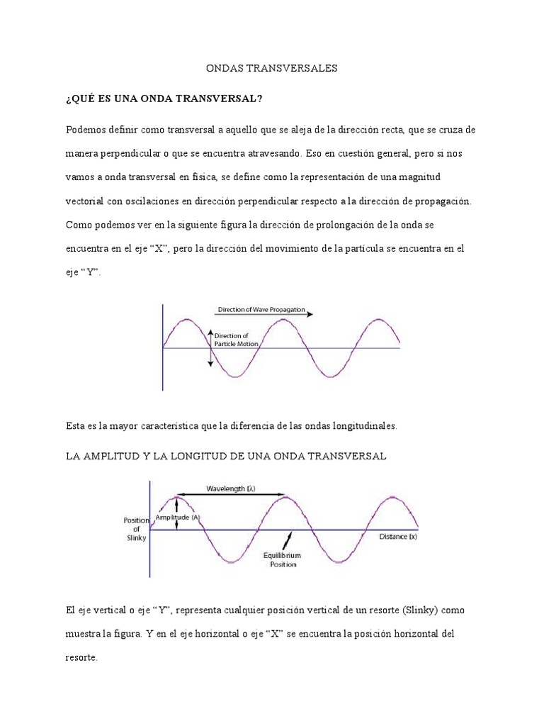 Hoja De Trabajo De Ondas Transversales Onda Transversal Png Imágenes