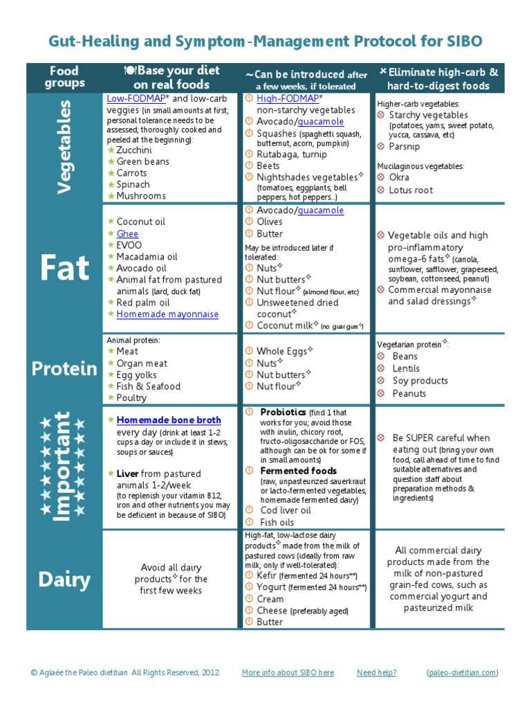 Sibo Gut Healing Protocol PDF | Download Free PDF | Vegetables | Milk
