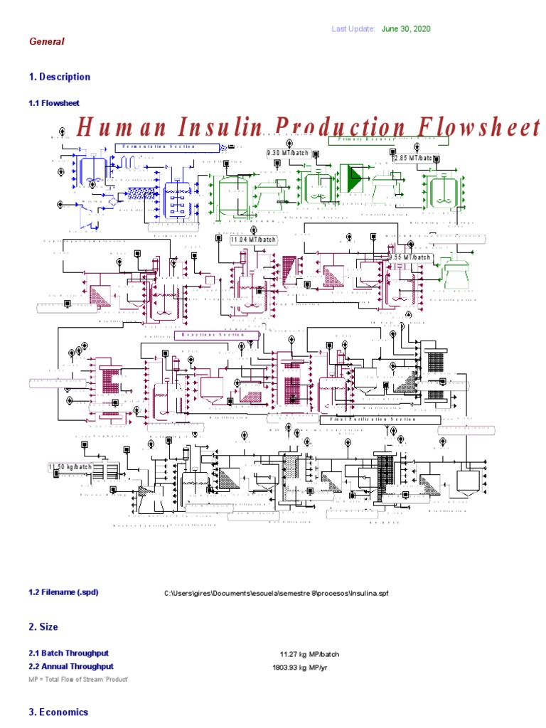 Human Insulin Production Flowsheet: 1. Description | PDF