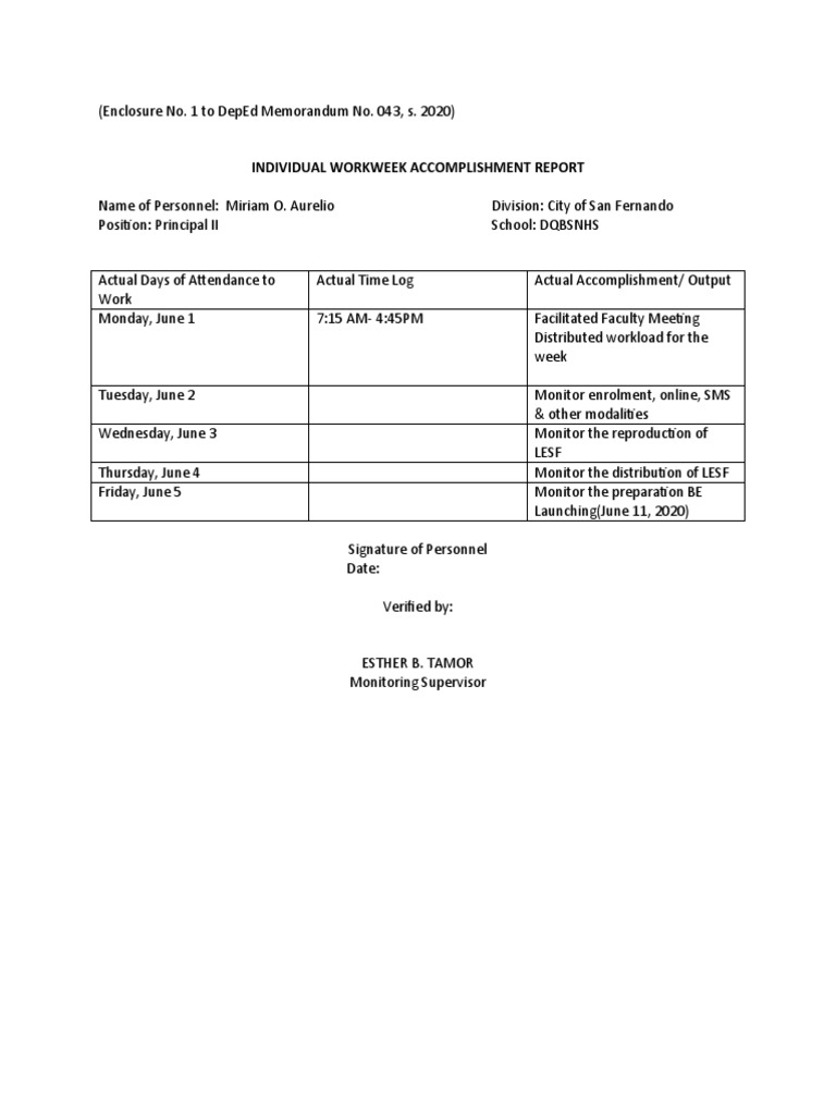 Individual Workweek Accomplishment Report | PDF | Learning | Behavior Modification