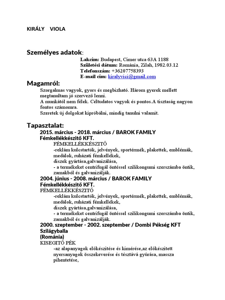 Király Viola CV | PDF