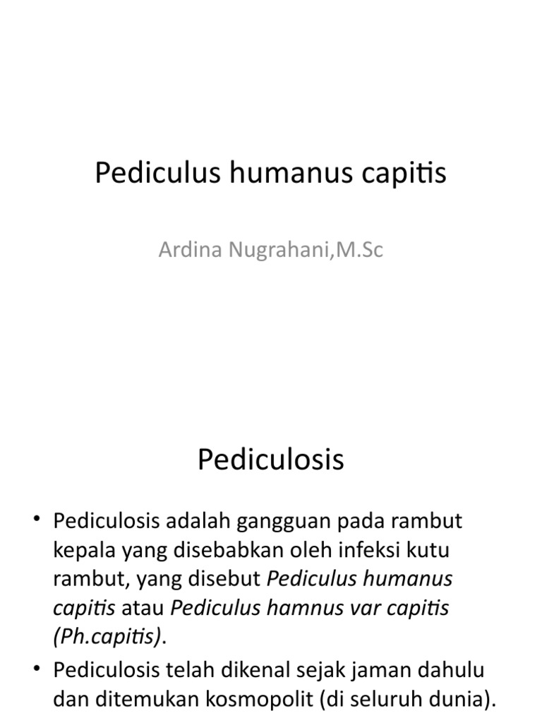 Pediculus Humanus Capitis | PDF