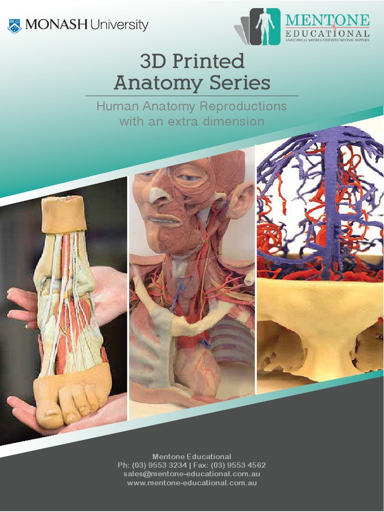 3D Printed Anatomy | Download Free PDF | Arm | Thumb