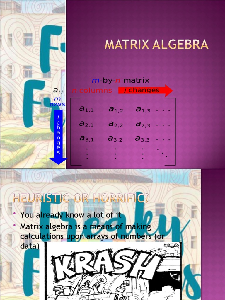 Matrix Algebra | PDF | Matrix (Mathematics) | Functions And Mappings