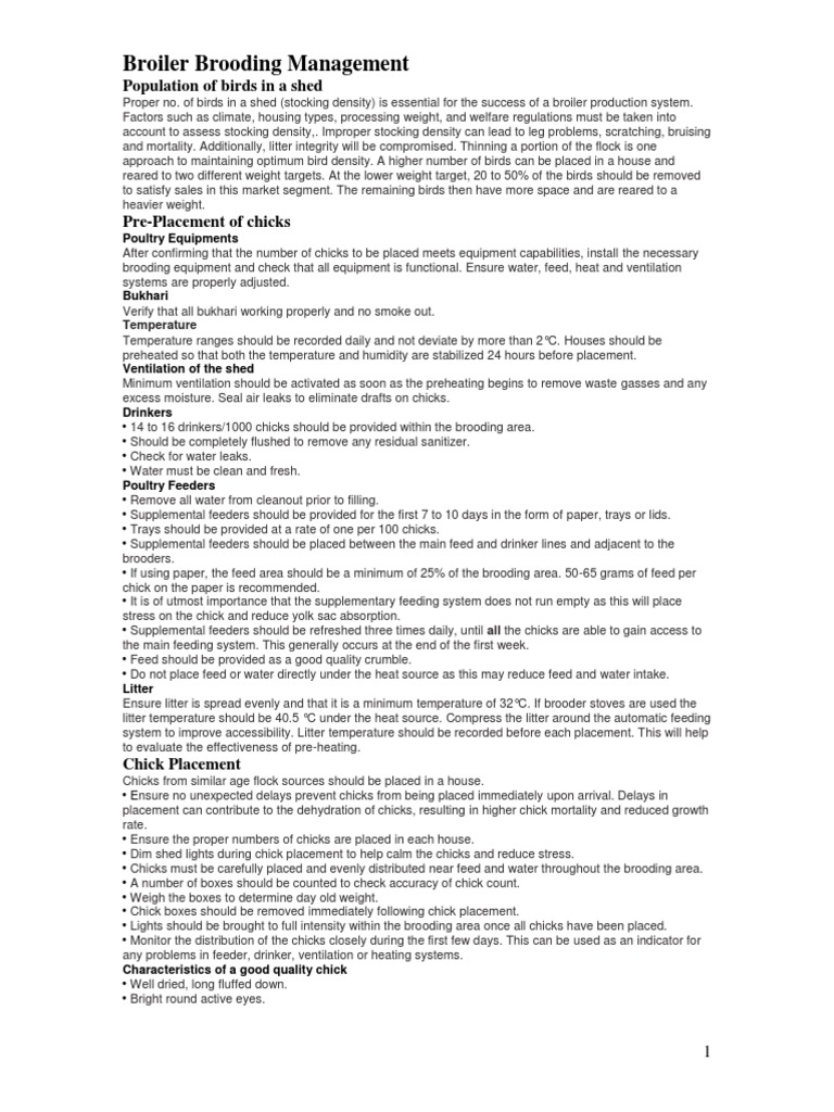 Broiler Brooding Management Population Of Birds In A Shed Pdf