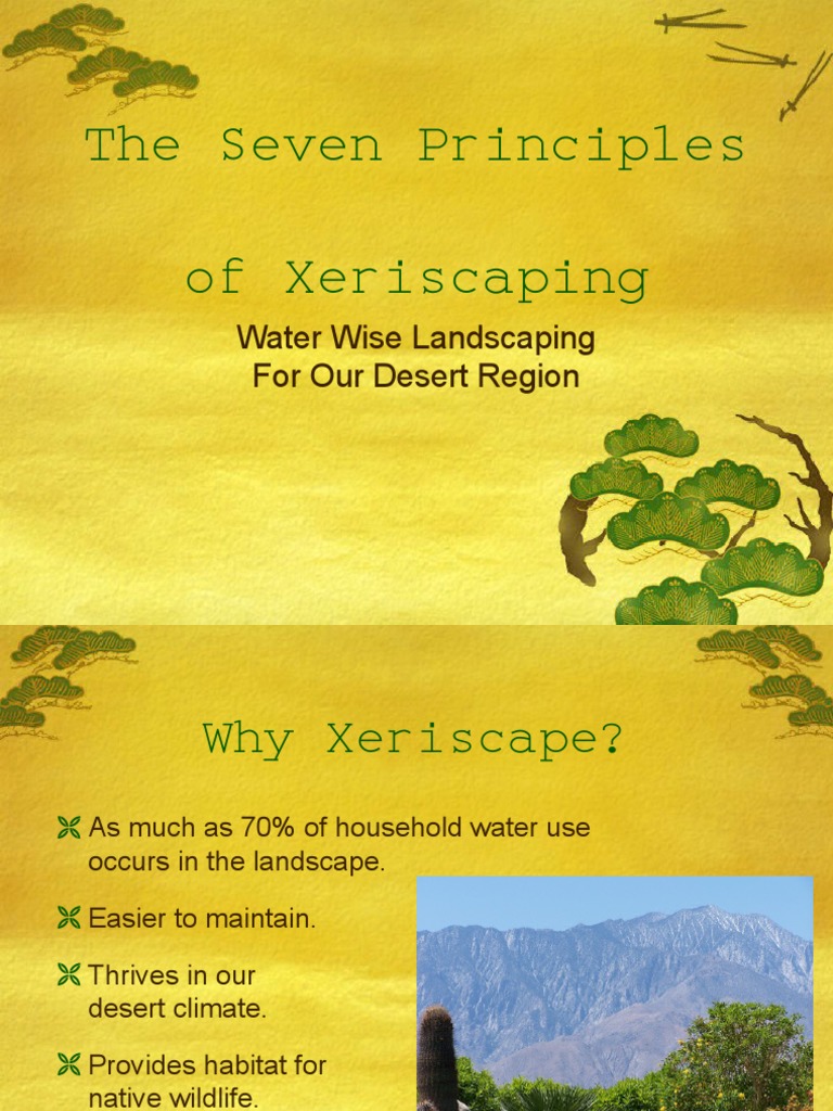 The Seven Principles of Xeriscaping: Water Wise Landscaping For Our ...
