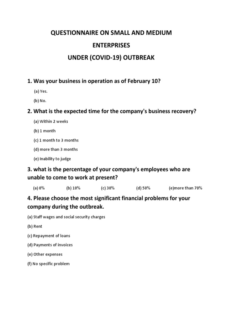 Questionnaire On Small and Medium Enterprises PDF | PDF | Loans | Taxes