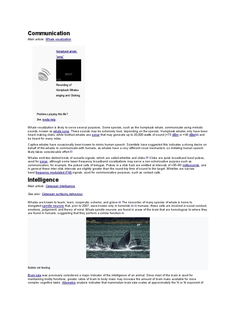 Communication: Whale Vocalization | PDF | Whales | Cetacea