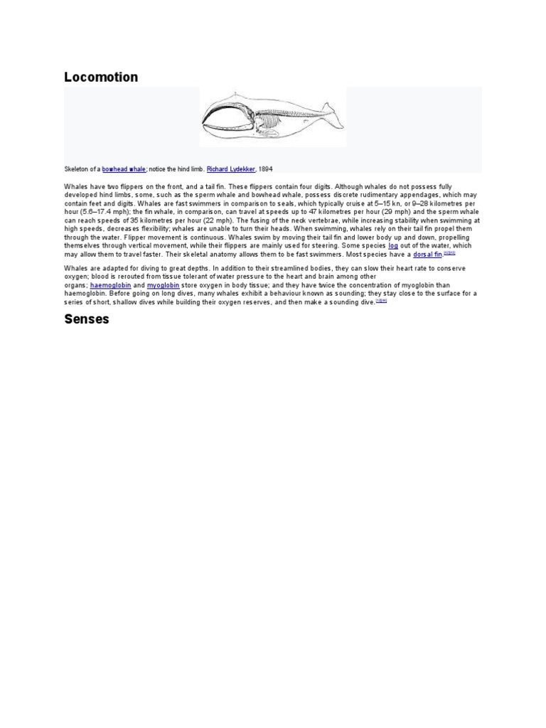 An In-Depth Look at Whale Locomotion and Adaptations for Swimming | PDF