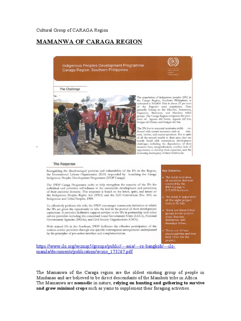 Mamanwa of Caraga Region: Manila/documents/publication/wcms - 173267 ...