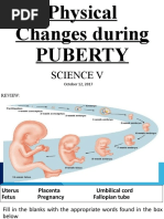 Lesson Plan | PDF | Puberty | Adolescence