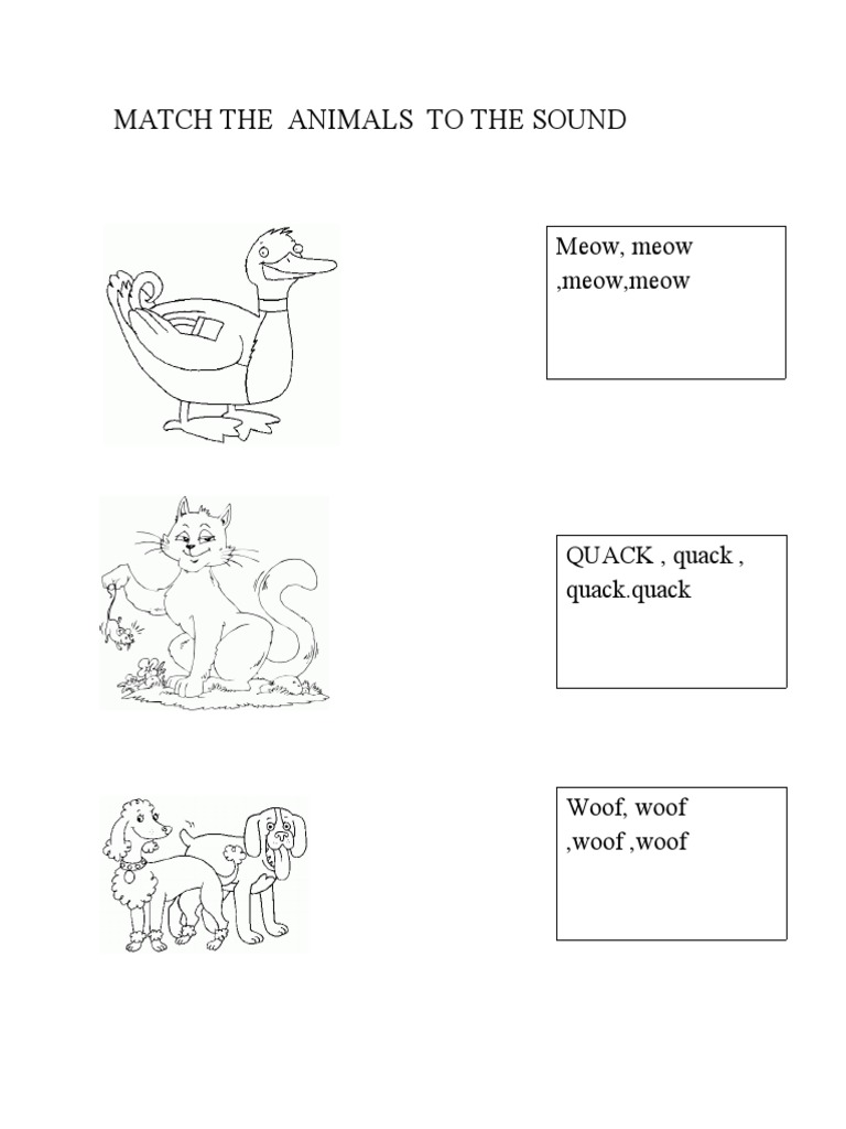 Animal Sounds Matching Activity | PDF
