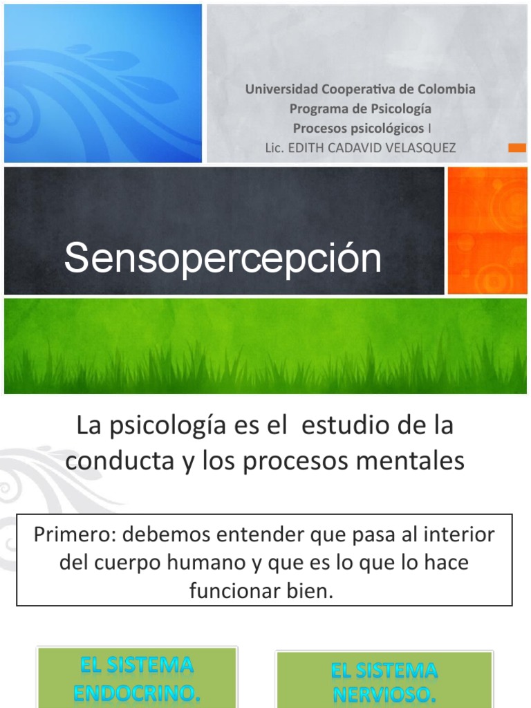Clase de Sensopercepcion | PDF | Percepción | Sistema nervioso