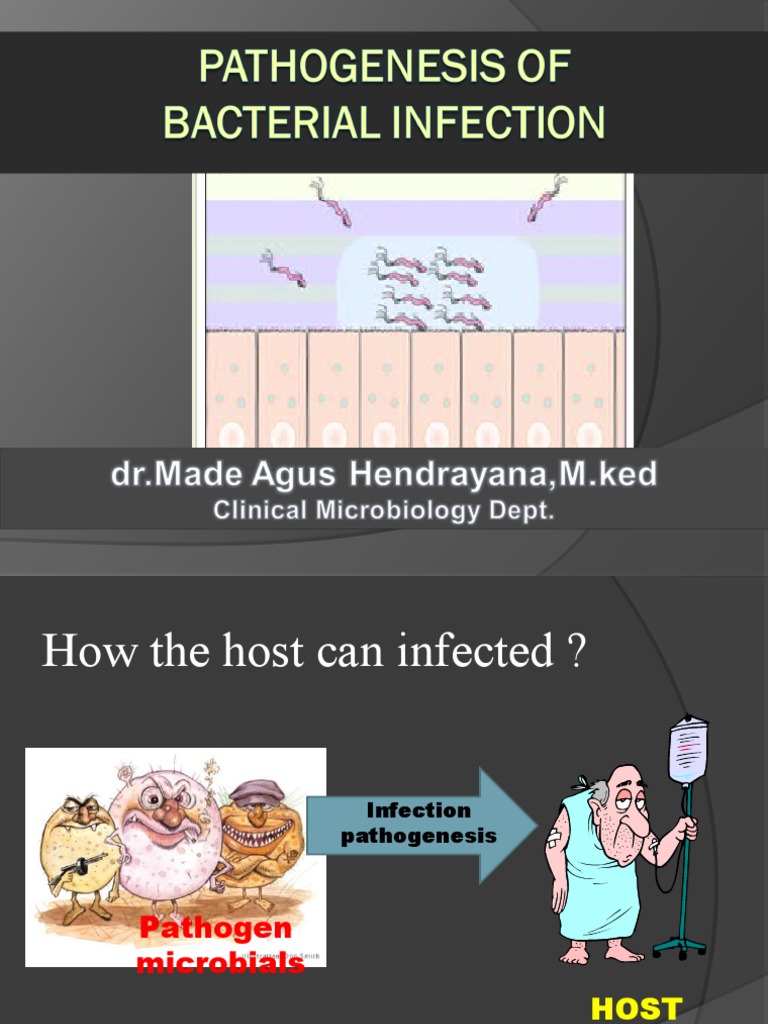 3 - Pathogenesis of Bacterial Infection | PDF | Pathogen | Infection