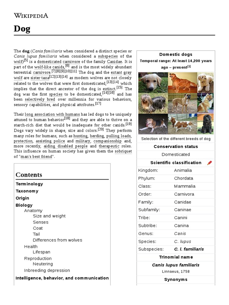 Domestic Dogs: Canis Lupus Familiaris When Considered A Subspecies of ...