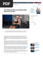 Body Armor - MMA Bodyweight Program - Phil Daru | PDF | Foot | Knee