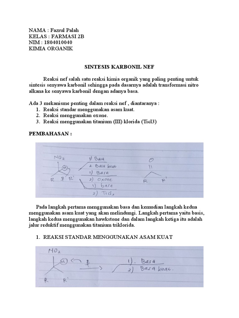 Sintesis Karbonil Nef | PDF | Sains & Matematika