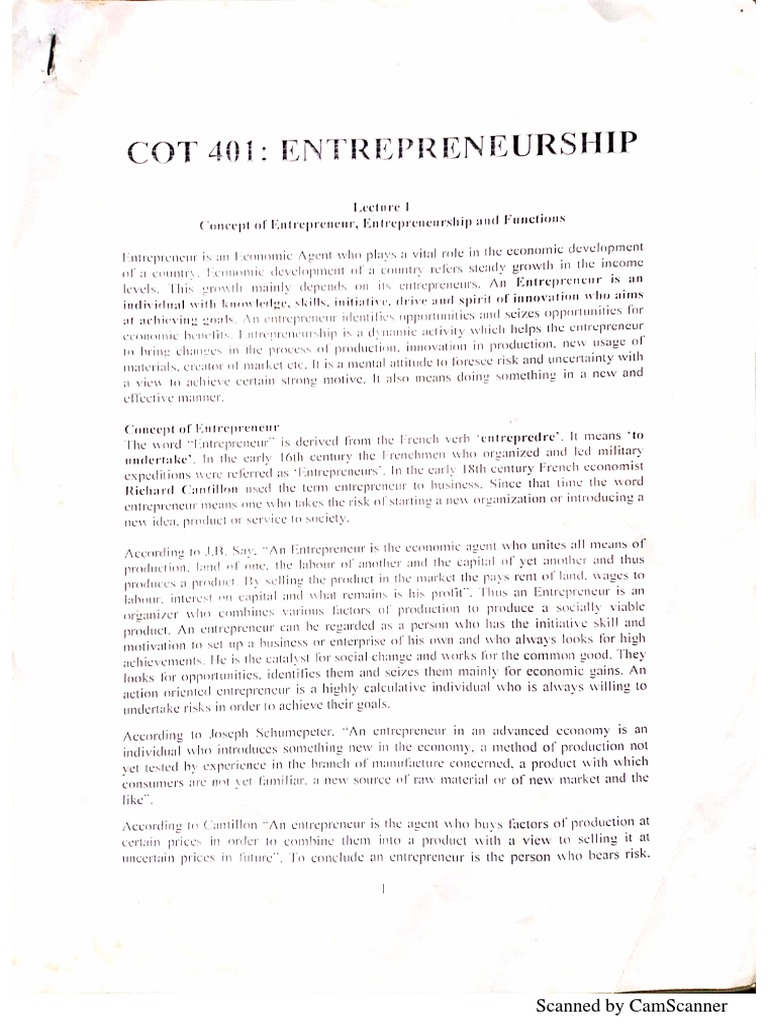 Entrepreneurship | PDF