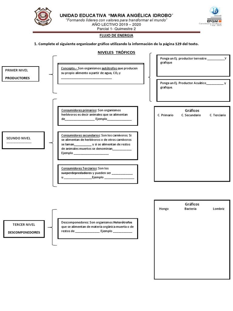 Flujo de Energía y Niveles Tróficos | PDF | Red alimentaria | Biogeoquímica