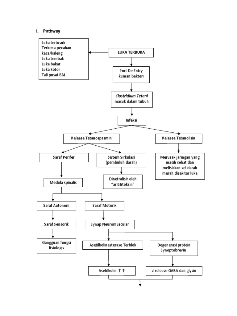 Pathway Tetanus | PDF