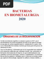 QUIMIOTROFOS | PDF | Sustancias químicas | Biología