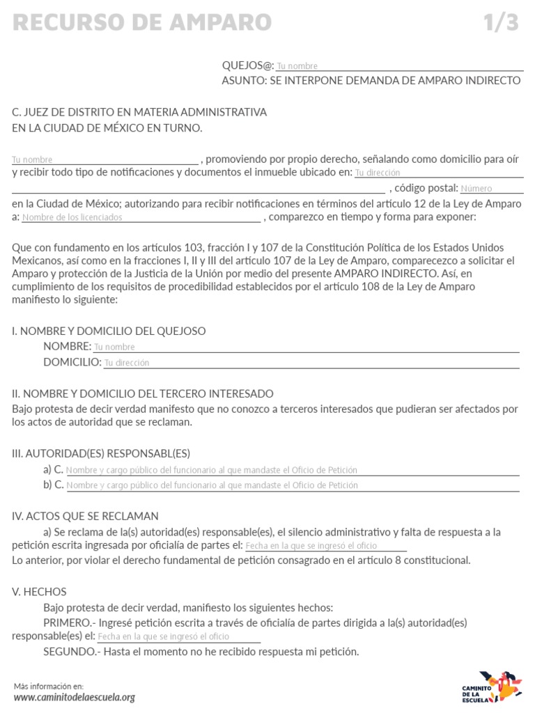 Formato de Recurso de Amparo | Descargar gratis PDF | Derecho Constitucional | Constitución