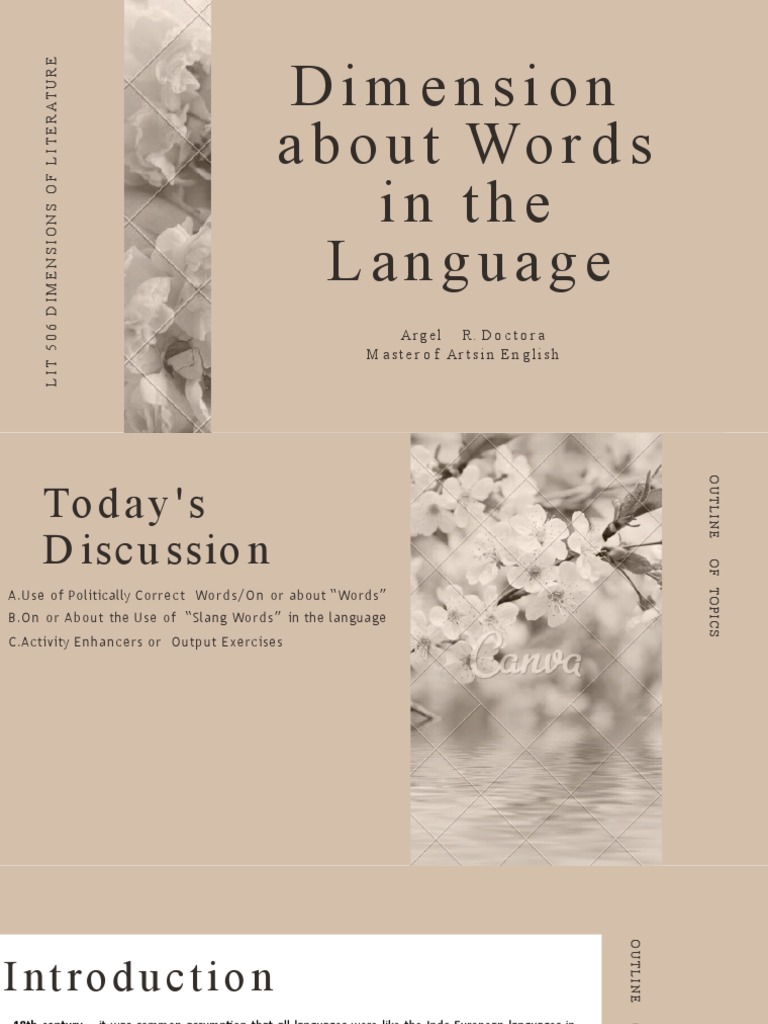 Dimension About Words in The Language Lit506 | PDF | Slang | Political ...
