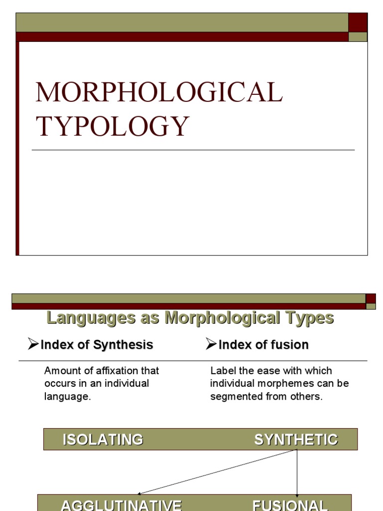 Morphological Typology | PDF | Morphology (Linguistics) | Grammar