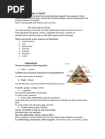 Alimentos Contables e Incontables | PDF