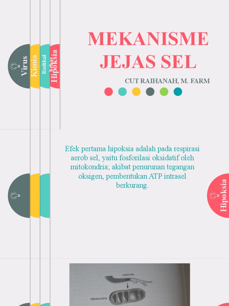 Mekanisme Jejas Sel | PDF