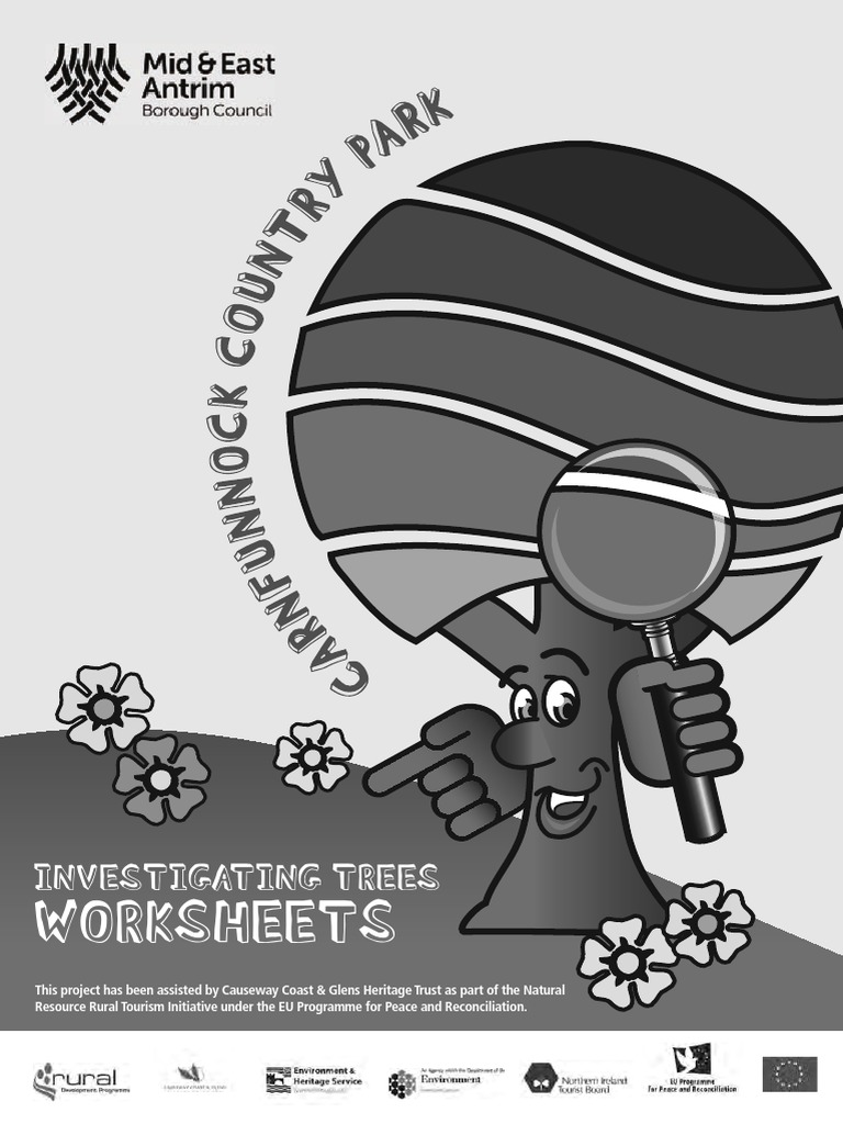 Worksheets: Investigating Trees | PDF | Pinophyta | Trees