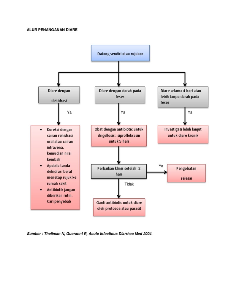 Alur Penanganan Diare PDF | PDF