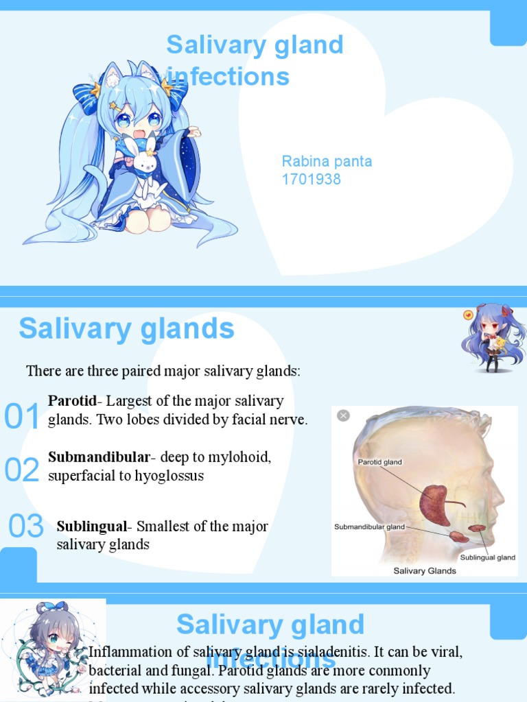 Salivary Gland Infections | PDF | Diseases And Disorders | Immunology