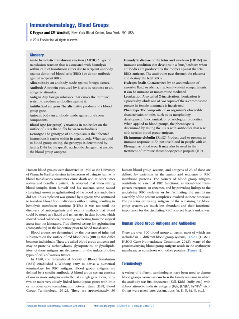 Immunohematology, Blood Groups | PDF | Blood Type | Antibody
