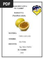 Locoto | PDF | Pimiento | Bolivia
