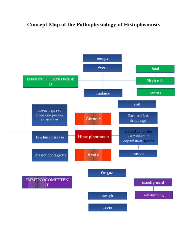 Histoplasmosis Pathophysiology Map | PDF