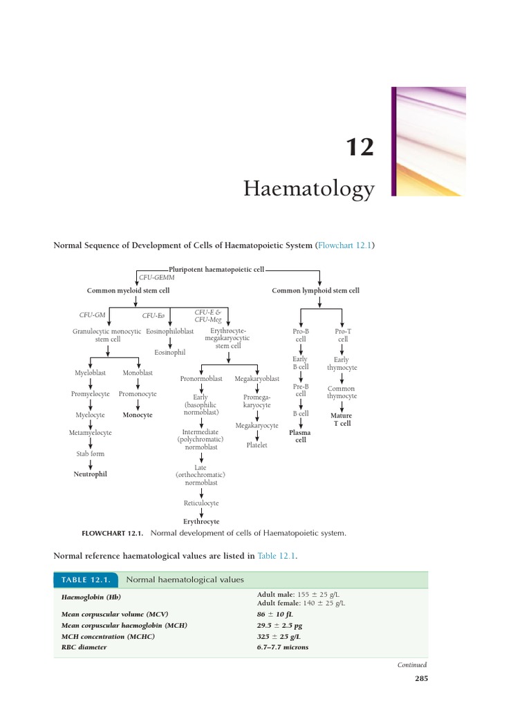 Haematology: Normal Sequence of Development of Cells of Haematopoietic ...