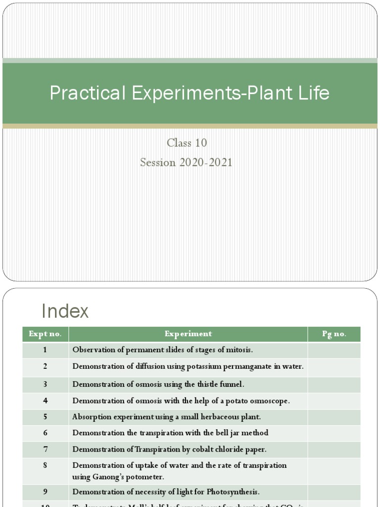 Osmosis Experiments with Potato Osmoscope | PDF | Mitosis | Cell Biology