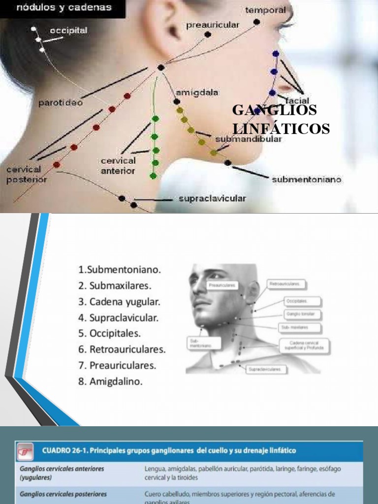 Ganglios Del Cuello | PDF