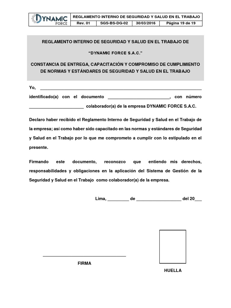 Cargo de Entrega RISST | PDF