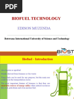 Julián Arca Banzón: Coconut Science Innovator | PDF