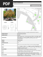 Ficha de Vegetacion | PDF | Arboles | Hoja
