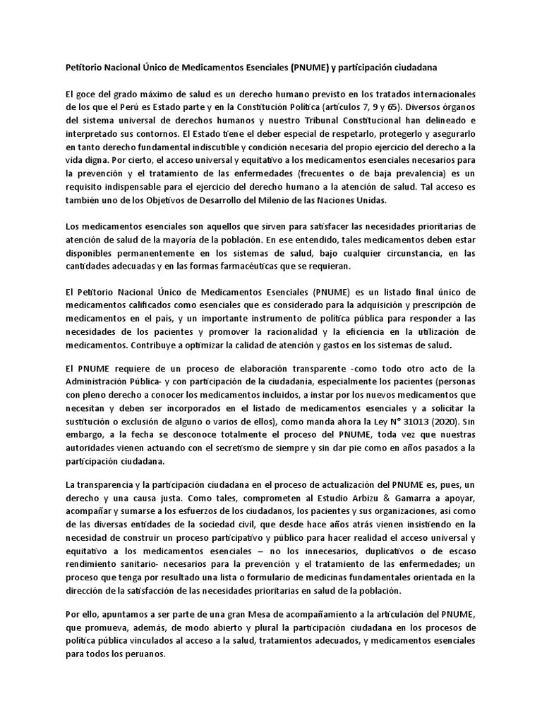 Primer Pronunciamiento Del Estudio Sobre El PNUME - Versión Definitiva ...