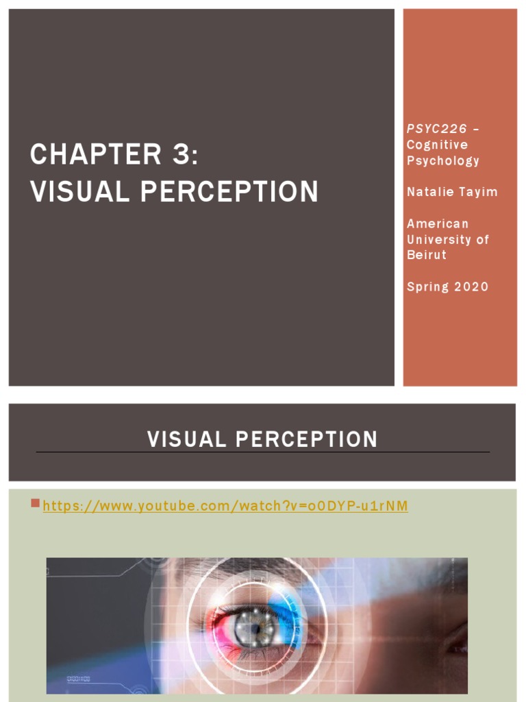 Chapter 3 | PDF | Visual System | Perception