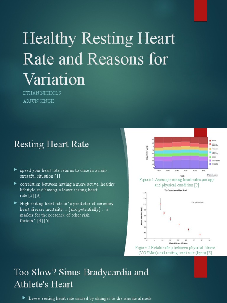 Healthy Resting Heart Rate and Reasons For Variation | PDF | Heart Rate ...